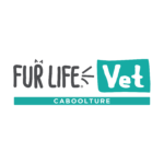 Home - Big Fish Junction